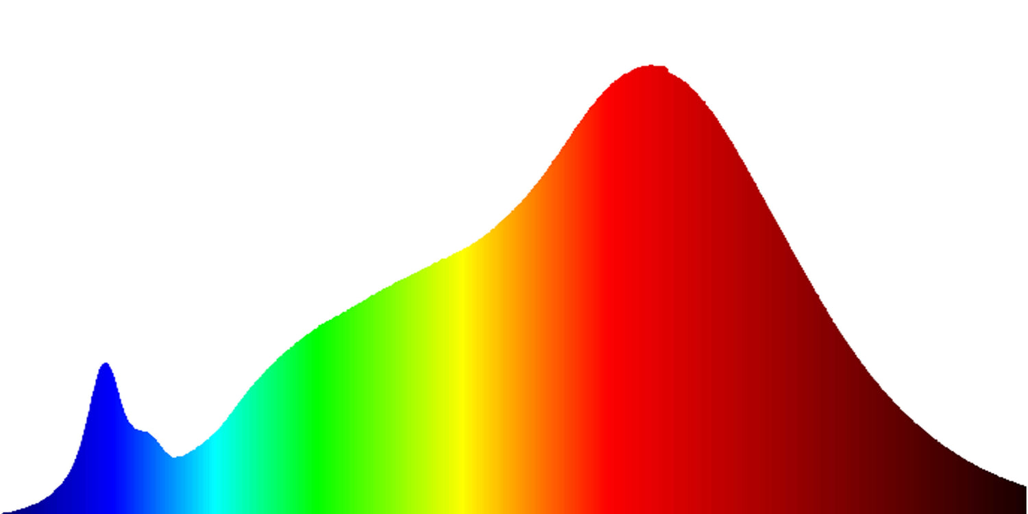 ModernVintage™ Incandescent Bulb Replacements – Waveform Lighting