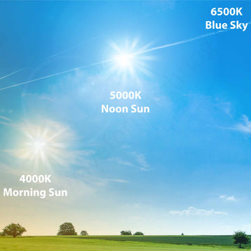 CENTRIC DAYLIGHT™ LED Strip Lights for Commercial & Retail – Waveform ...