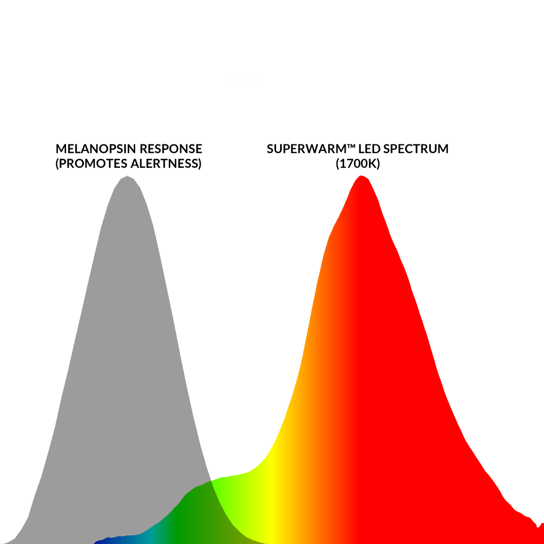SUPERWARM™ 1700K Flicker-Free A19 10W LED Bulb – Waveform Lighting
