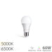 NorthLux™ 95 CRI A19 LED Bulb for Art & Studio – Waveform Lighting