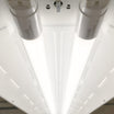 NorthLux™ 95 CRI T8 LED Tube for Art & Studio – Waveform Lighting