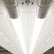 NorthLux™ 95 CRI T8 LED Tube for Art & Studio – Waveform Lighting